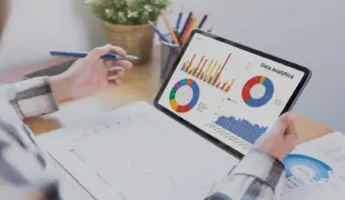 The Importance of Statistical Software for Data Analysis: SPSS and Stata